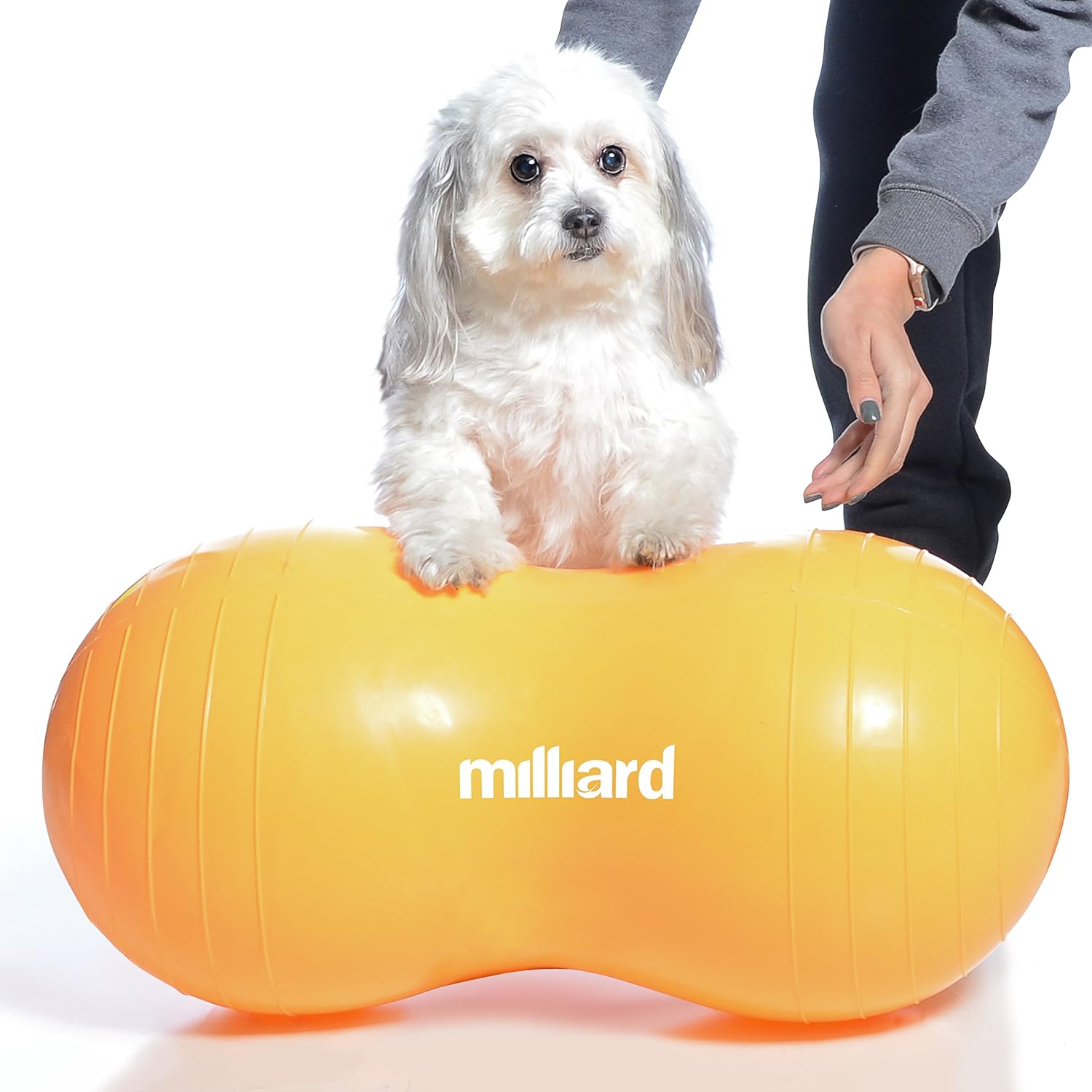 Milliard Peanut Ball Physio Roll Review - Yoga Gear